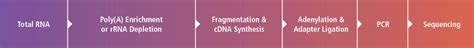 Nextflex Rapid Directional Rna Seq Kit 20