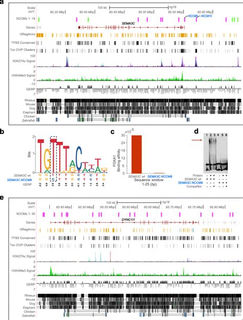 Whole Genome Sequencing Of Glioblastoma Reveals Enrichment Of Non