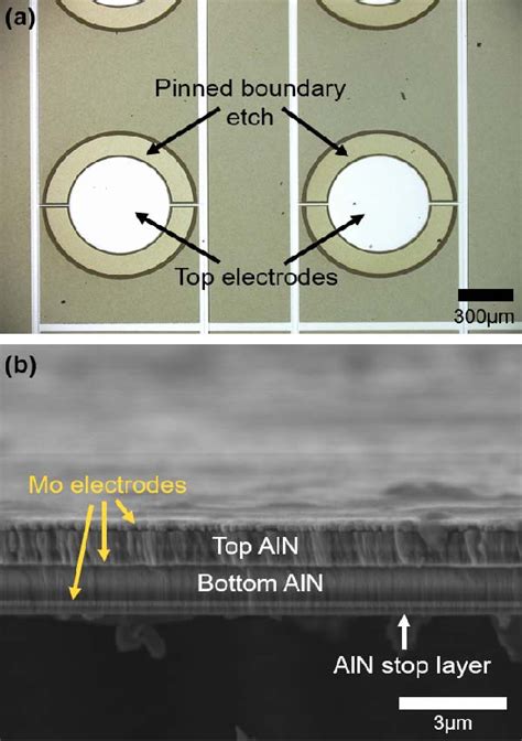 A An Optical Image Showing The Electrodes And Pinned Boundary Of A
