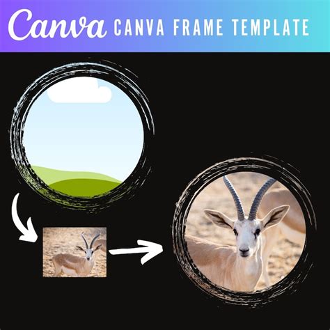Canva Frames Templates Editable Canva Frames Abstract Pattern Canva Frames Custom Background