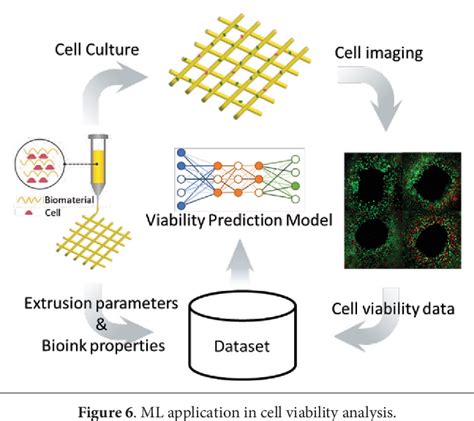 Figure 6 From Machine Learning And 3d Bioprinting Semantic Scholar