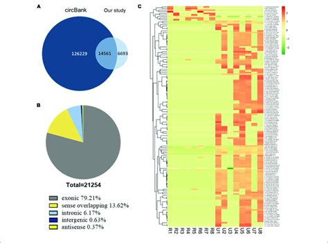 Identification Of Circrnas By Rna Seq Analyses In Ia Tissues A Download Scientific Diagram