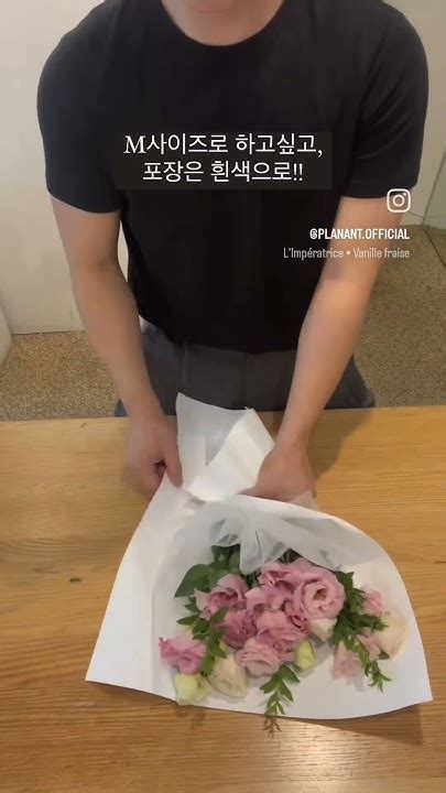 리본 풀어줘요 Youtube