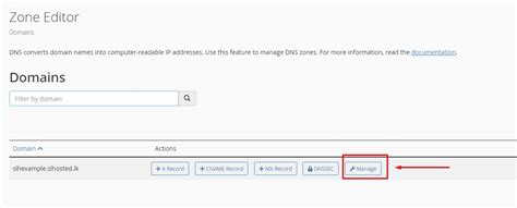 How To Manage Dns Records In Cpanel Knowledgebase Srilanka Hosting
