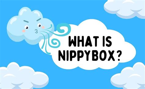 What Is Nippybox Full Review And User Guide