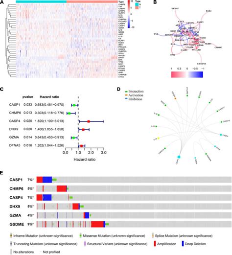 Identification Of The Pyroptosis Related Gene Signature For Overall Survival Prediction In