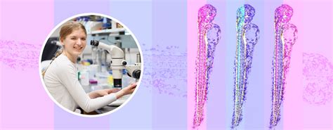 The Art Of Transgenesis Florida Atlantic University