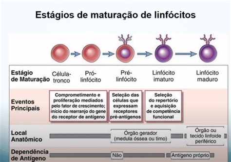 Hematologia Geral E Areas Basicas Quizlet