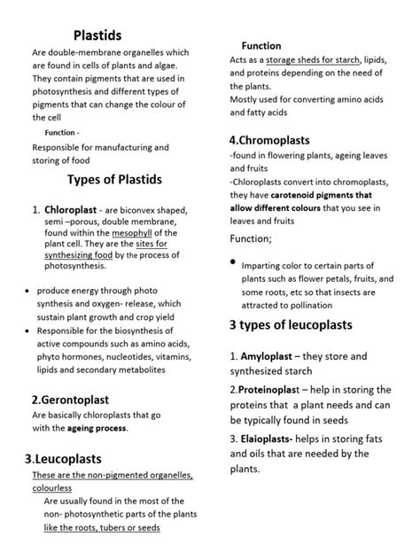 Plastids Pdf Meiosis Mitosis