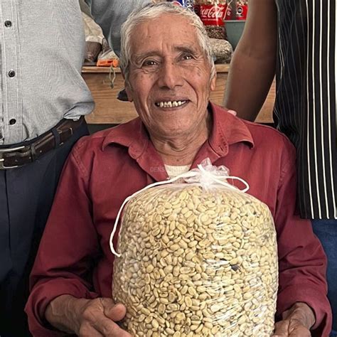 Café Pacamara Oaxaca Café De Especialidad