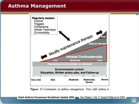 Ppt Back To Basics Review Respirology In Under Two Hours Powerpoint Presentation Id 3299186