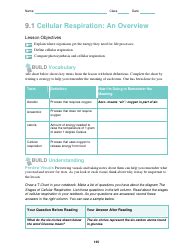 91 Cellular Respiration An Overview Download Printable Pdf