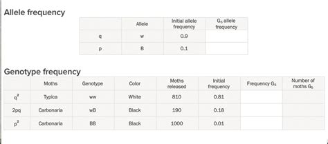Solved Can Someone Show Me The Proper Way To Calculate The Allele 1 Answer Transtutors