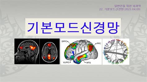 일반인을 위한 뇌과학 22 기본모드신경망default Mode Network Dmn Youtube