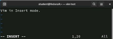 How To Use Vim In Linux Techtarget