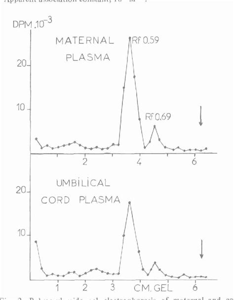 Figure 1 From Cortisol Binding To Proteins In Plasma In The Human