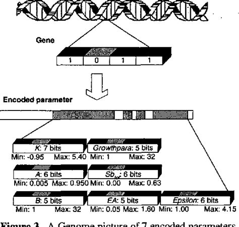 Figure 3 From Optimising A Neural Tree Classifier Using A Genetic Algorithm Semantic Scholar