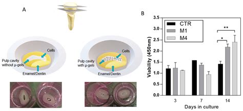 Mineralized Microgels Via Electrohydrodynamic Atomization Optimization