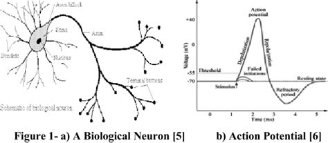 Figure 1 From Fpga Based Pipelined Architecture For Action Potential Simulation In Biological