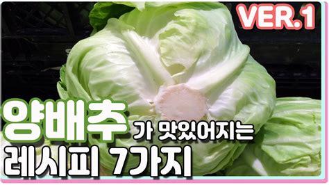 양배추로 일주일 버티기 양배추 요리 7가지 레시피 Cabbage 요알남 Mingstar Youtube