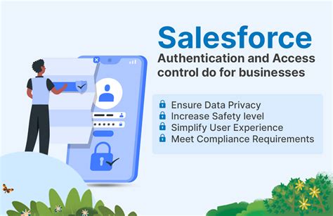 salesforce authentication and access control winfomi