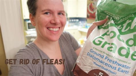 How To Get Rid Of Fleas YouTube