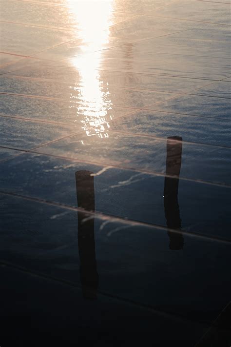 Le Reflet Du Soleil Dans Leau Photo Photo Reflet Dans Leau Gratuite Sur Unsplash