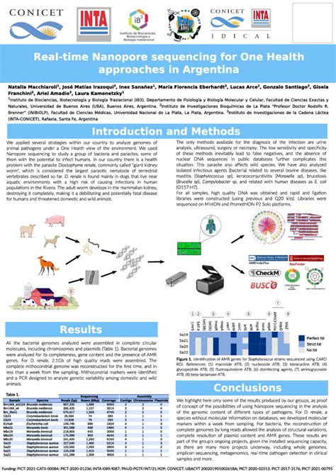 Real Time Nanopore Sequencing For One Health Approaches In Argentina