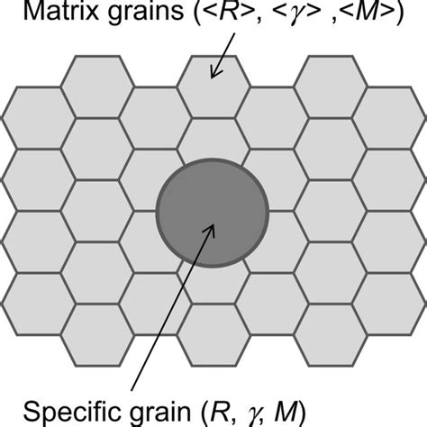 Idealized Polycrystalline System For Modeling Abnormal Grain Growth