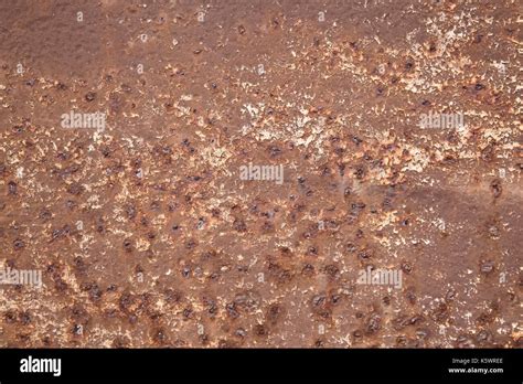 Detail Of A Rusty Surface Texture Background Stock Photo Alamy