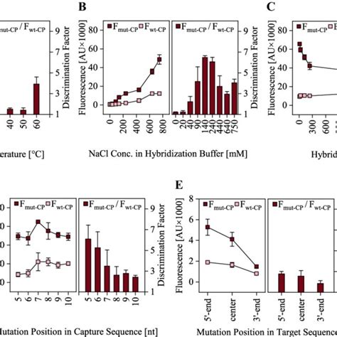 Optimization Of Hybridization Conditions Influence Of A