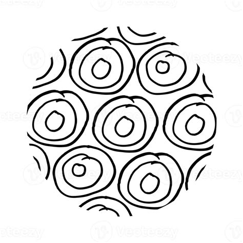 Abstract Round Pattern In Round Shape Element 23206808 Png