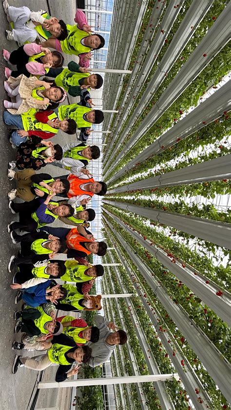 최우주태권도and점프윙스줄넘기클럽디오션점 25년 1월의 이모저모☺️ 요새 왜때문에 이렇게 바쁜지 모르겠지만 아이들은 여전히 운동도 잘하고 열심히 자라고 있습니다