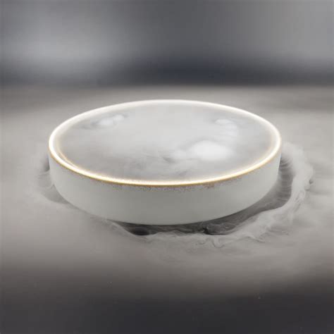 22cm Gold Rim Dry Ice Dish Dry Ice Express