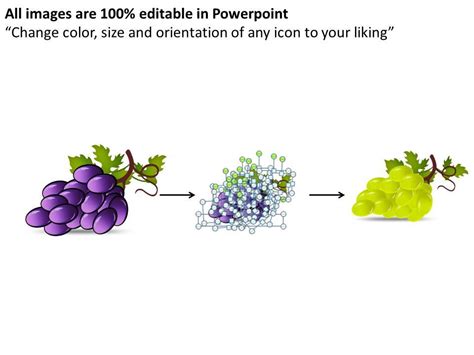 Fruits Powerpoint Presentation Slides Db Powerpoint Templates Designs