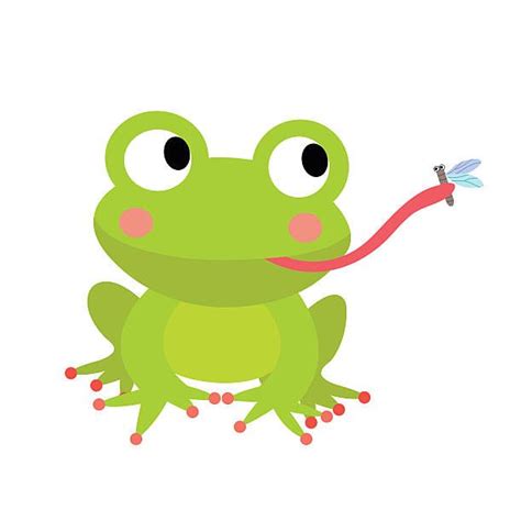 1 000 Bullfrog Stock Illustrations Royalty Free Vector Graphics And Clip Art Istock Frog