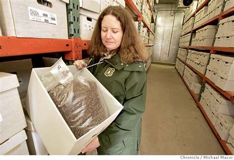 States Forest Reseeding Operation At Risk Budget Cuts Force State Seed Bank Closure Merge