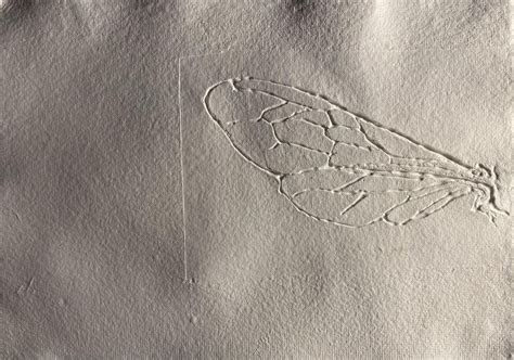 Marika Alonzi — Yag Garage