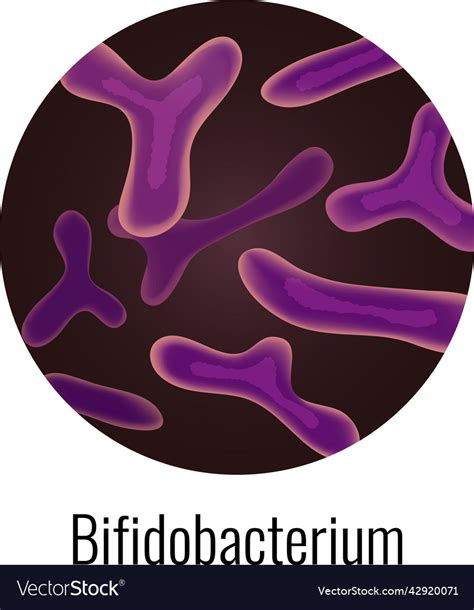 Bifidobacterium Bacteria Round Composition Vector Image