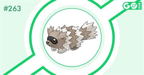 Zigzagoon Pokémon Go Best Moveset Counters Max Cp And Stats