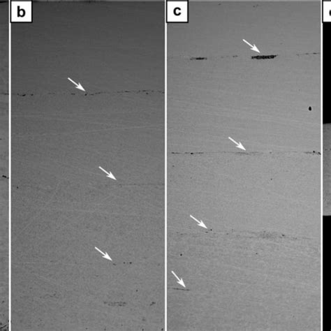 Macrostructure Of Consolidated Samples Along The Direction Of