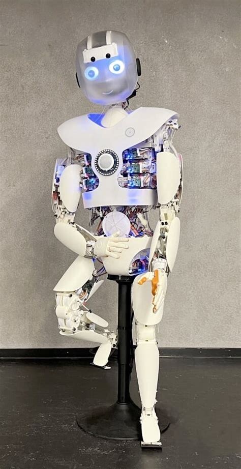 Tendon Driven Humanoid Robot Roboy 30 Download Scientific Diagram