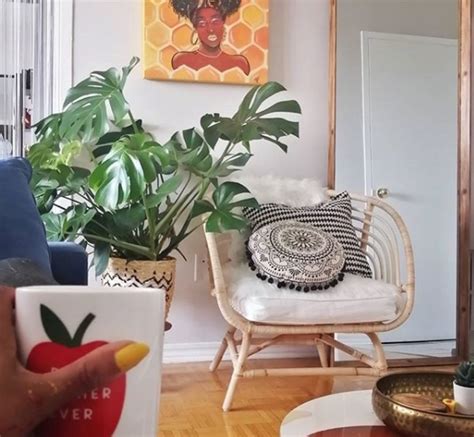 Ways To Reframe Refresh Your Home Plant Club