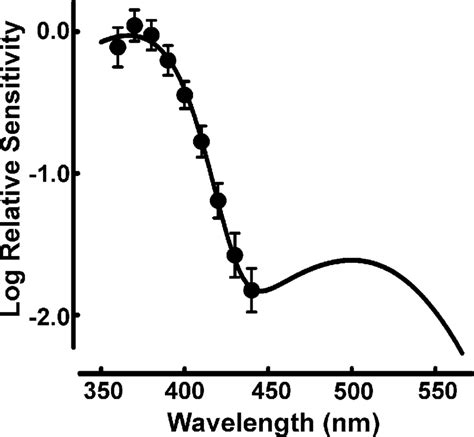 Flicker Photometric Erg Spectral Sensitivity Function Derived For