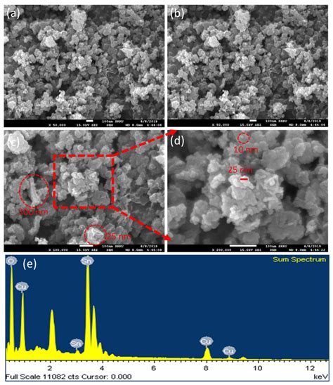 Field Emission Scanning Electron Microscope Micrographs Of The Download Scientific Diagram