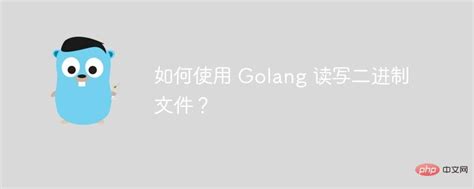 How to read and write binary files using Golang?-Golang-php.cn
