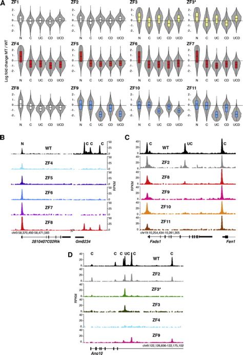Ctcf Uses Different Zf Clusters To Recognize U And C Dna Motifs Download Scientific Diagram