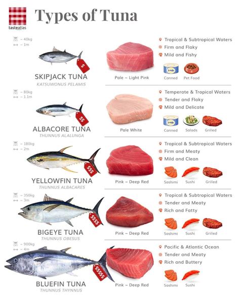 A Cool Guide For Types Of Tuna And Their Meats Rcoolguides