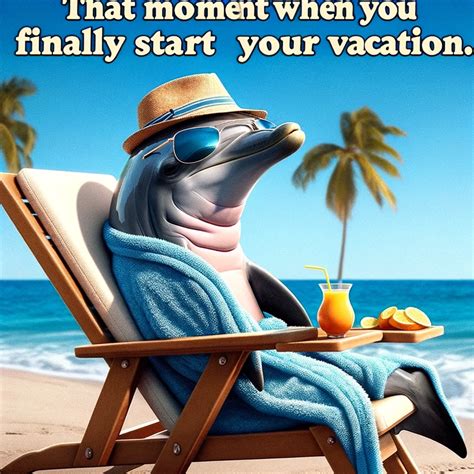 27 Hilarious Dolphin Memes To Dive Into A Splash Of Humor 🐬😂