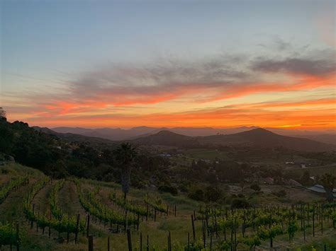 Home Cordiano Winery